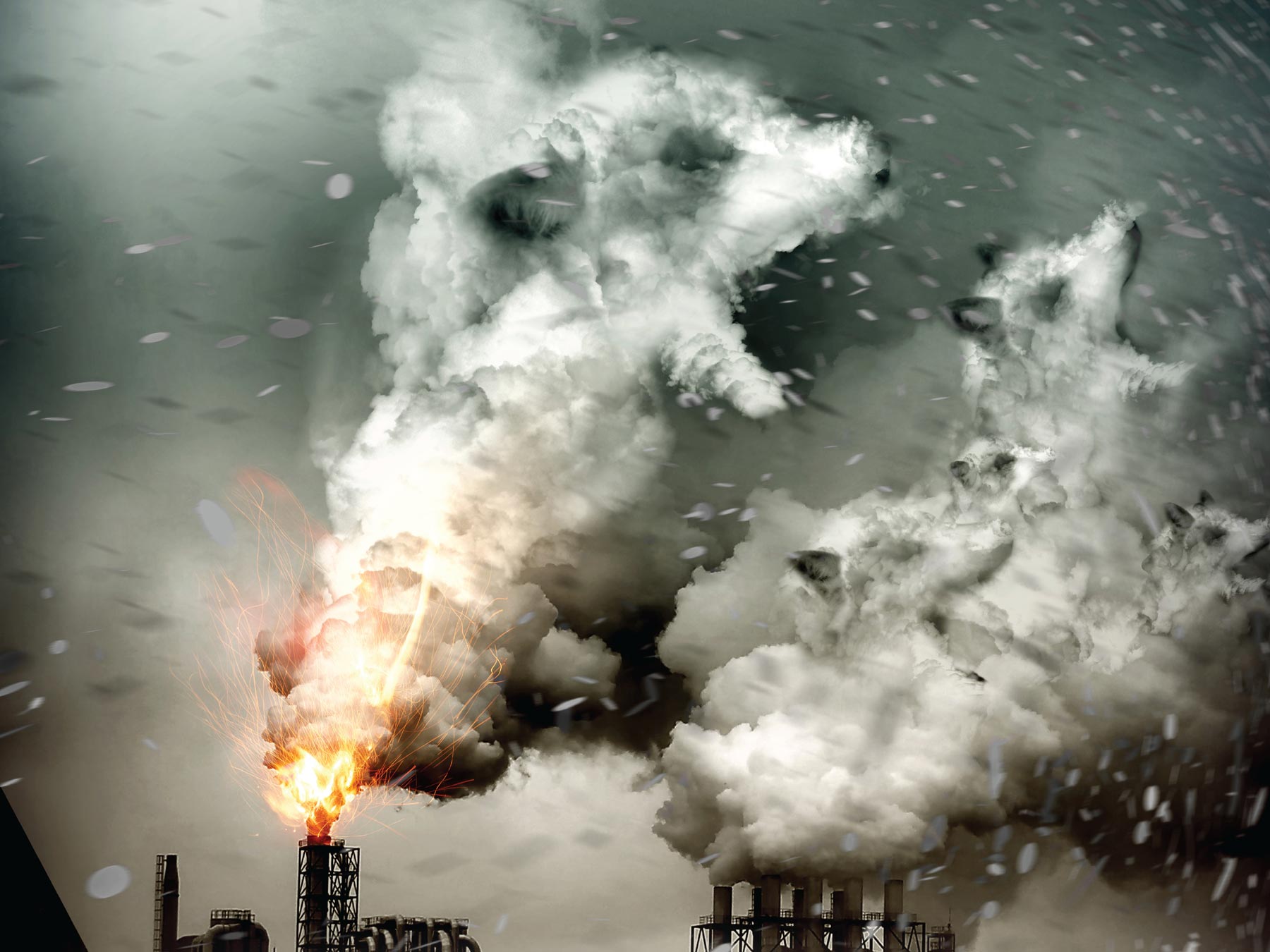 Poster for Fur Free “Design Against Fur” competition — Designed by ...