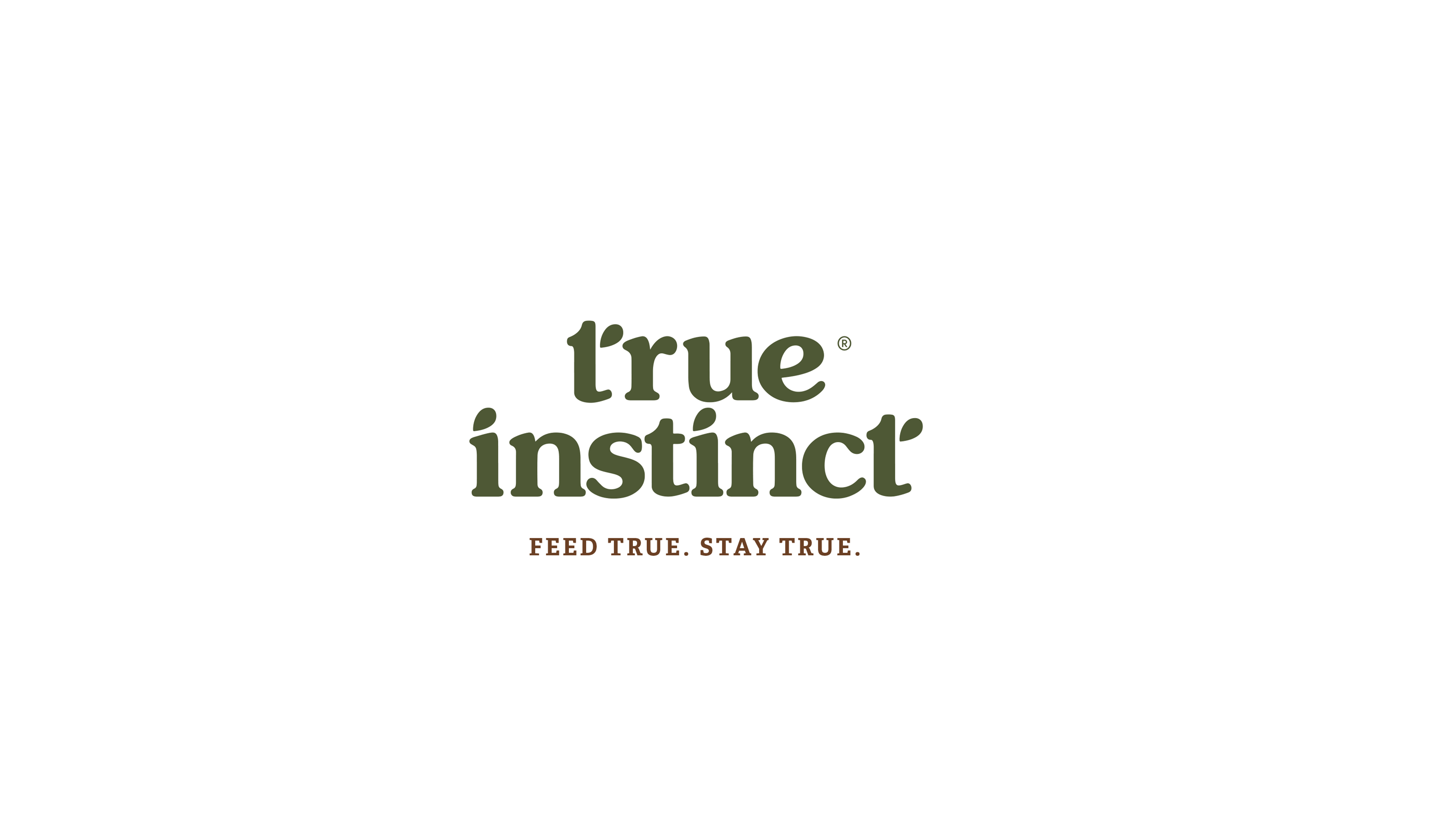 Logo re-design process for True Instinct — Designed by Anton Burmistrov