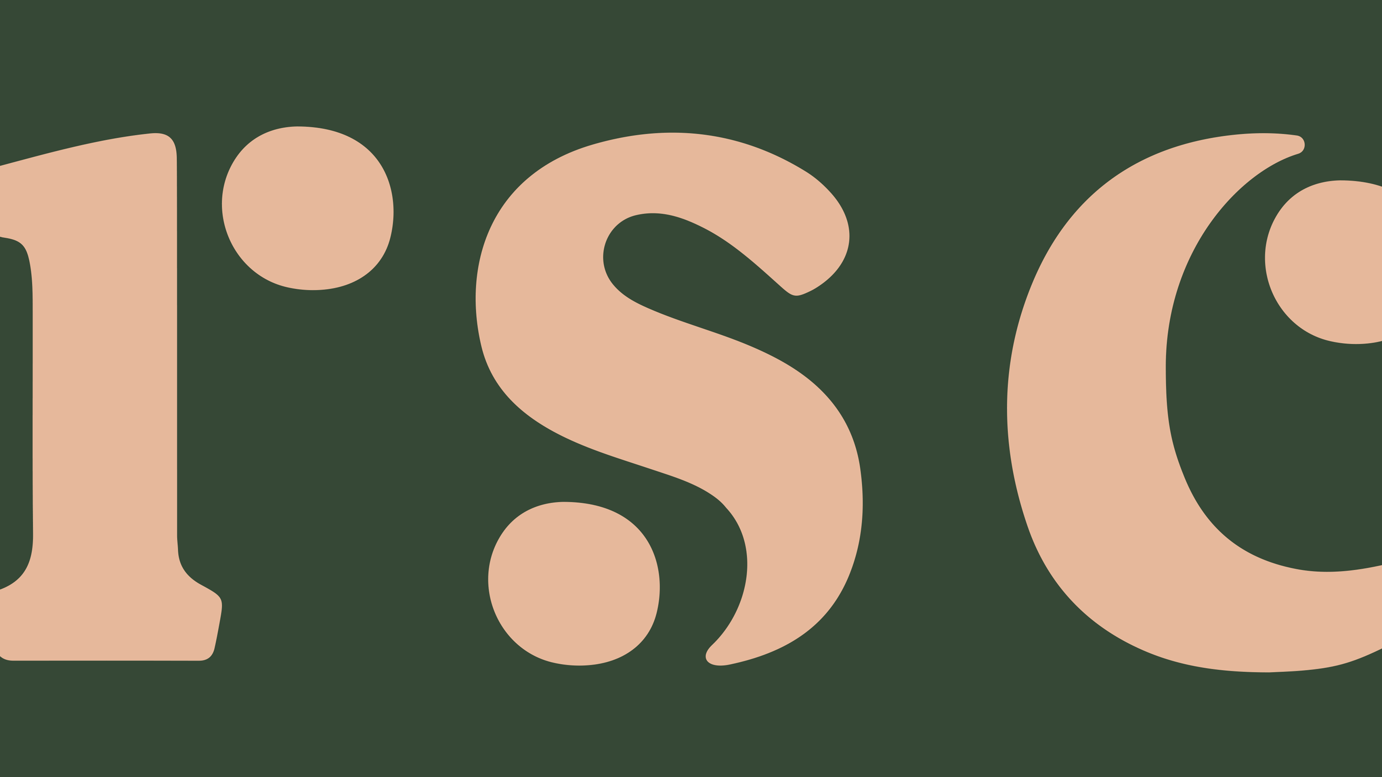 Logo re-design process for True Instinct — Designed by Anton Burmistrov