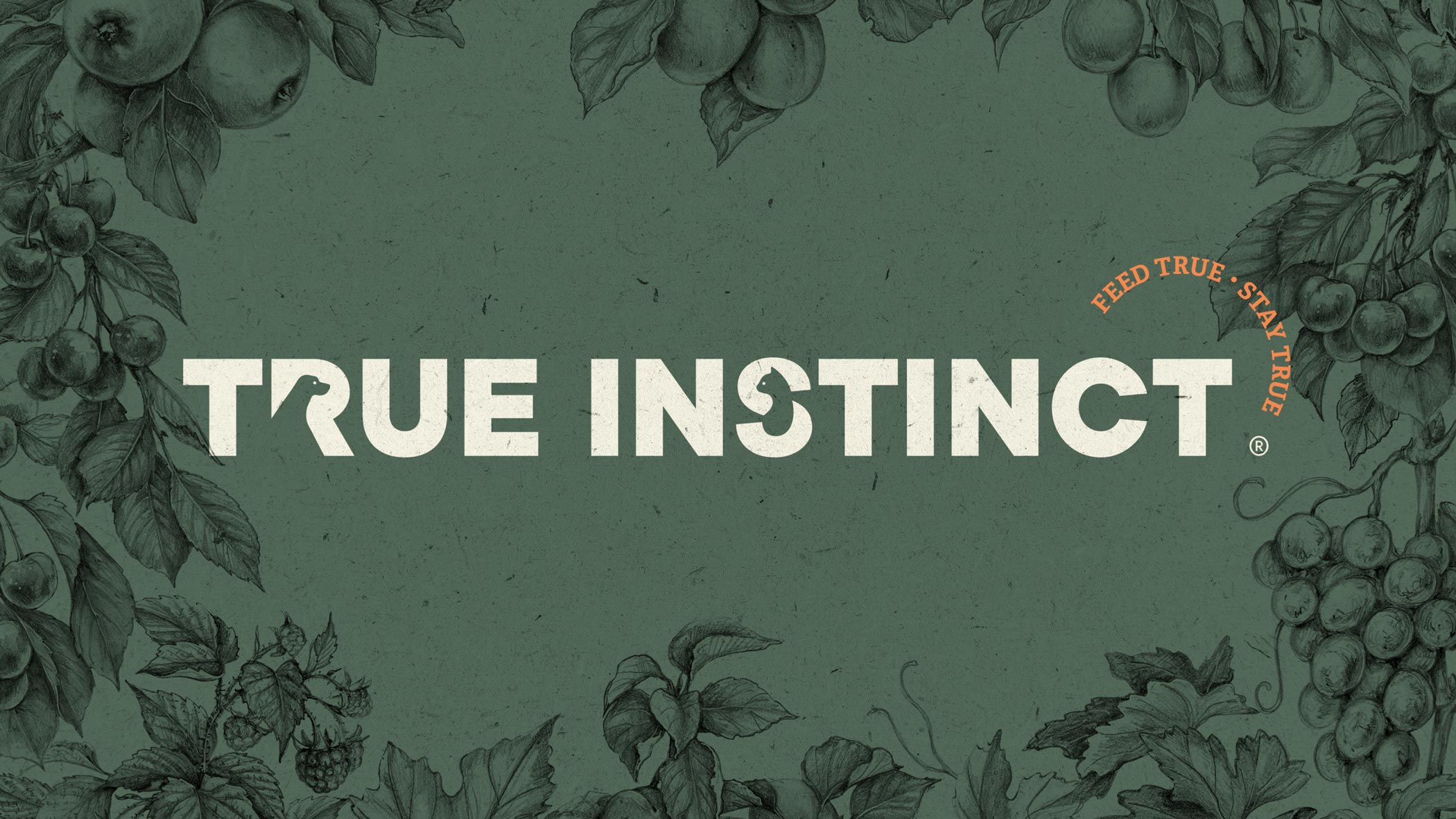 Logo re-design process for True Instinct — Designed by Anton Burmistrov