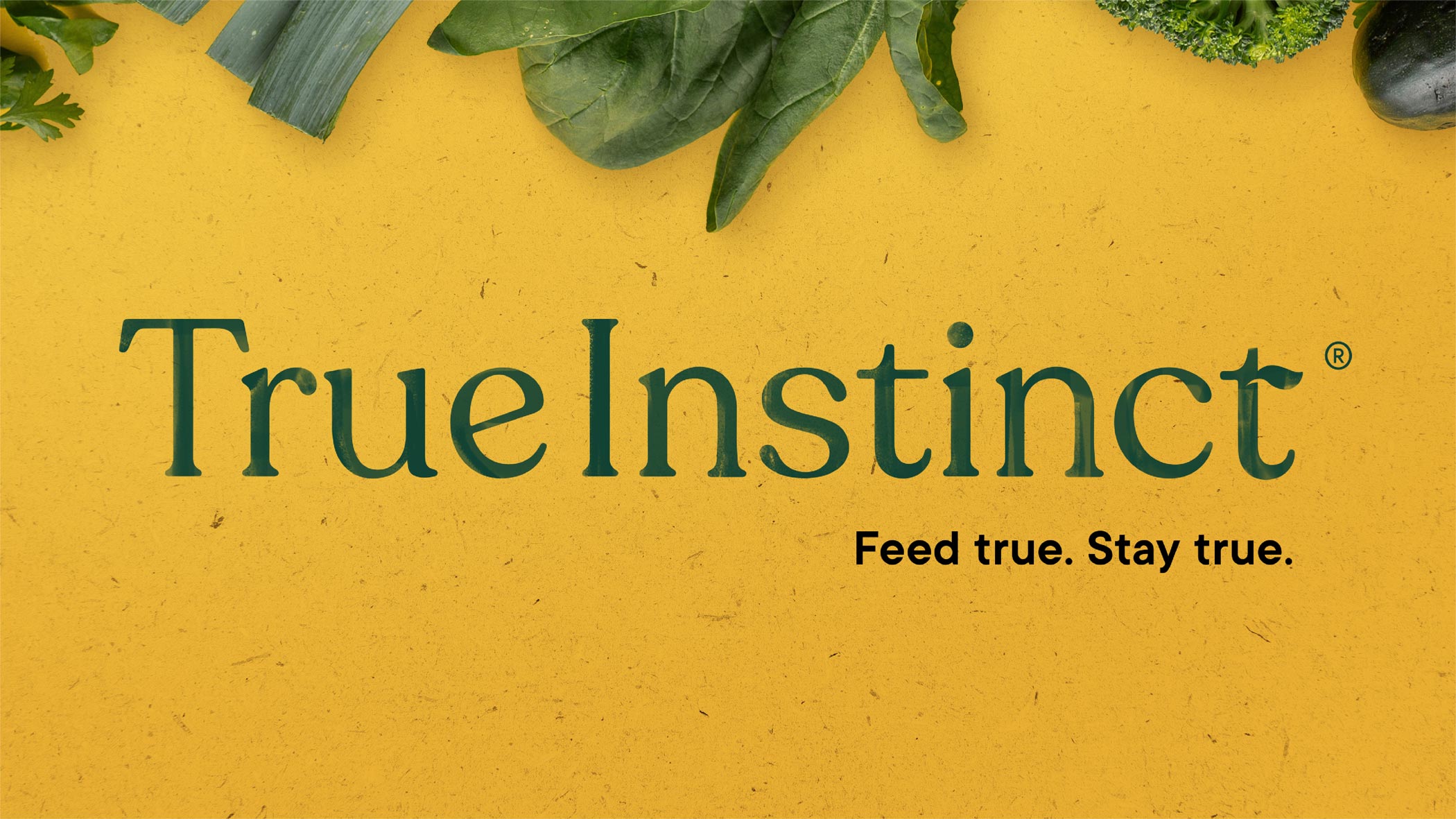 Logo re-design process for True Instinct — Designed by Anton Burmistrov