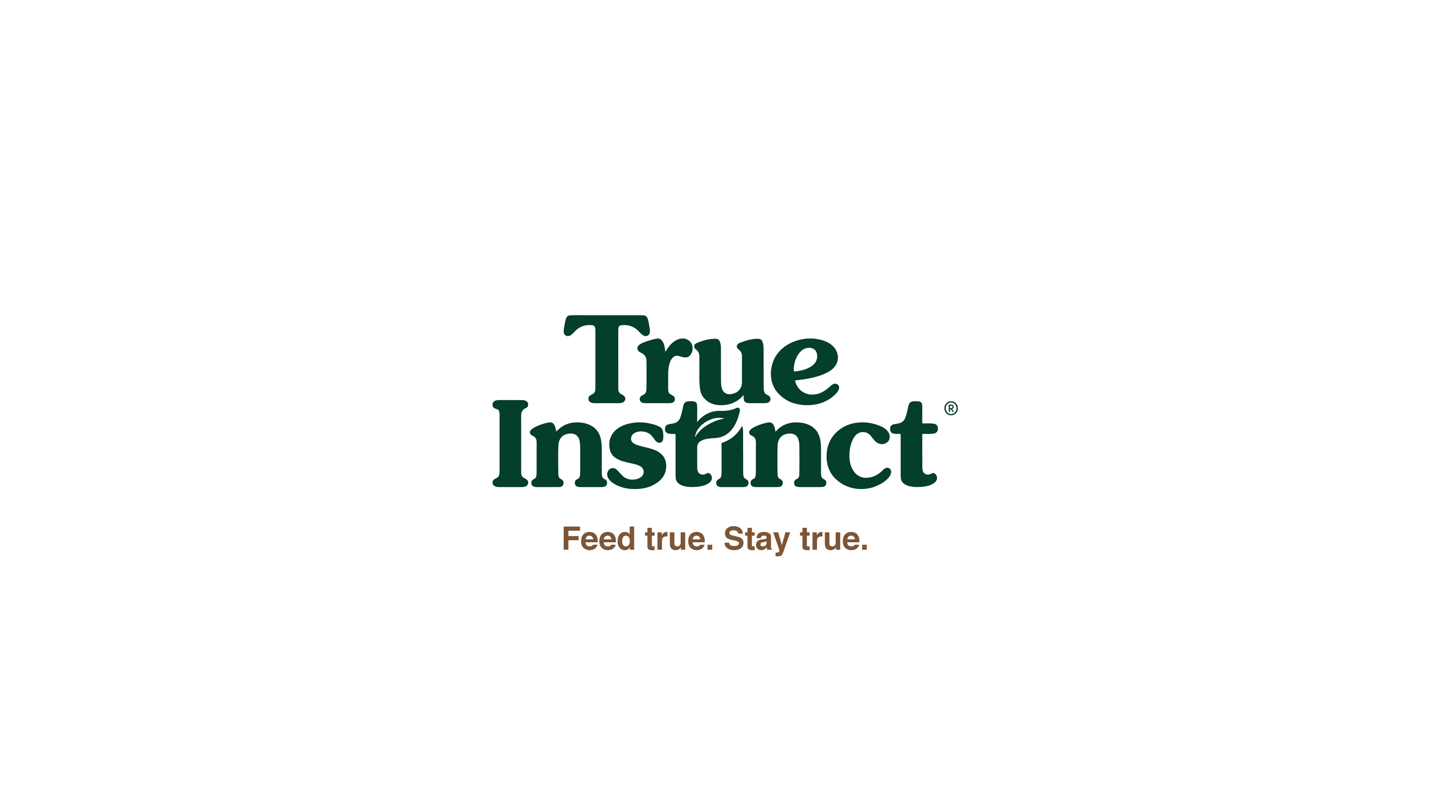 Logo re-design process for True Instinct — Designed by Anton Burmistrov