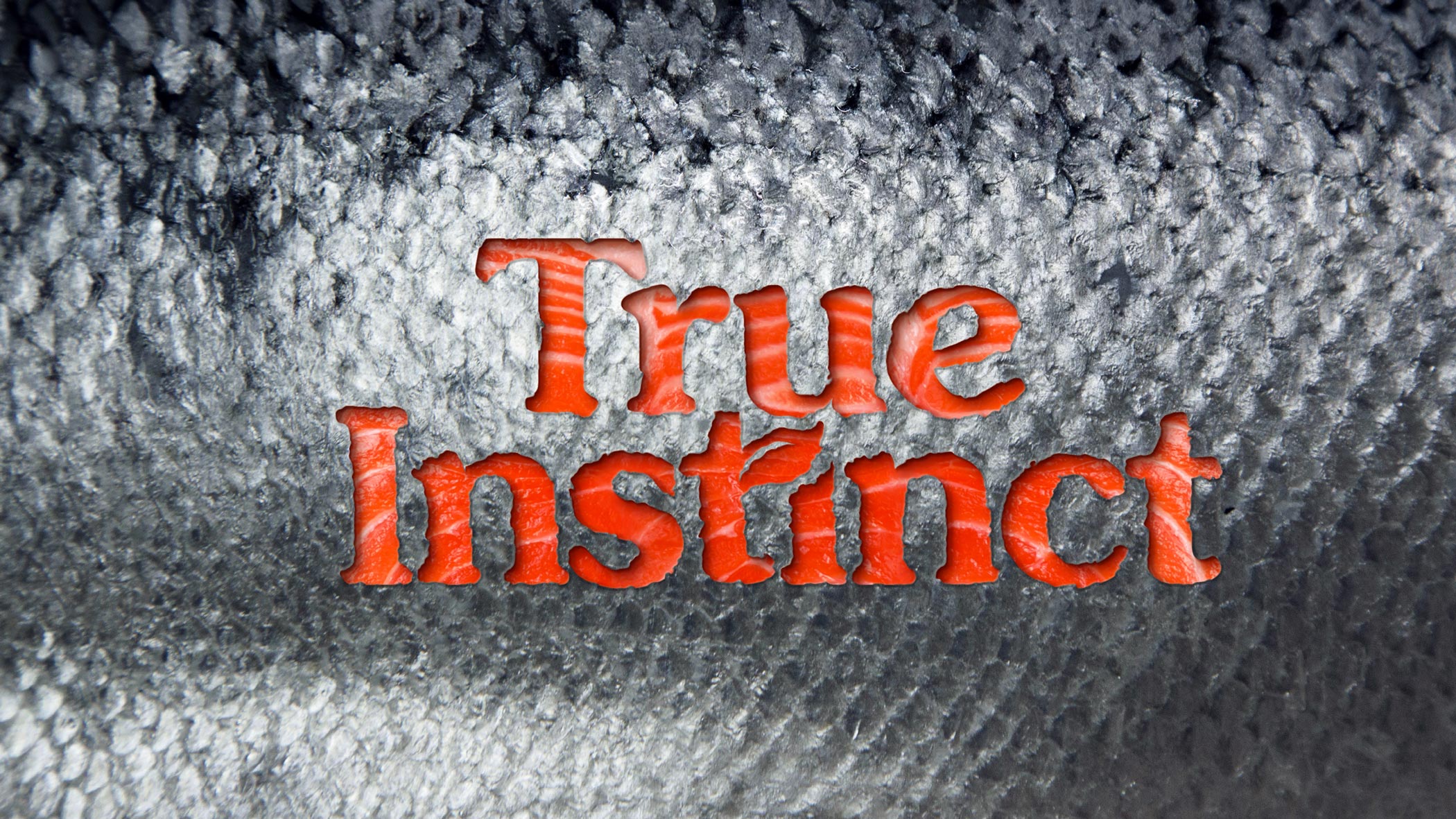 Logo re-design process for True Instinct — Designed by Anton Burmistrov